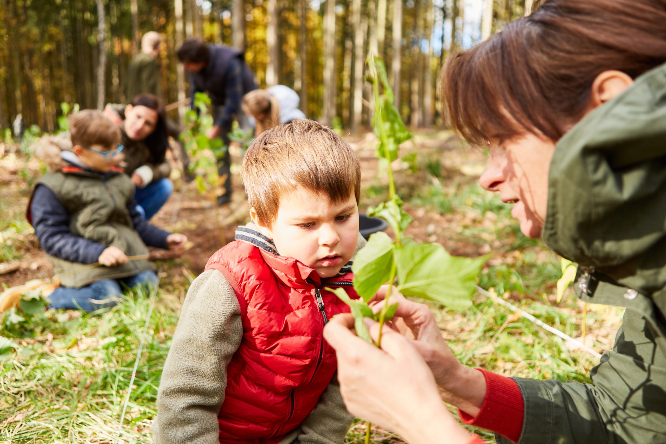 Creating Tiny Forests throughout Bridgend! – Valleys to Coast